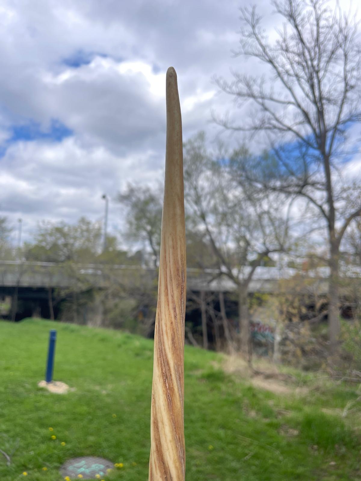 Narwhal Tusks, Narwhale Tusks